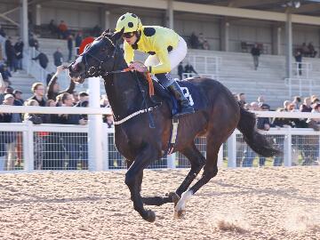 Southwell Racecourse