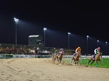 Southwell Racecourse | Southwell Races