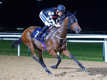 Whats On | Fixtures | Southwell Racecourse