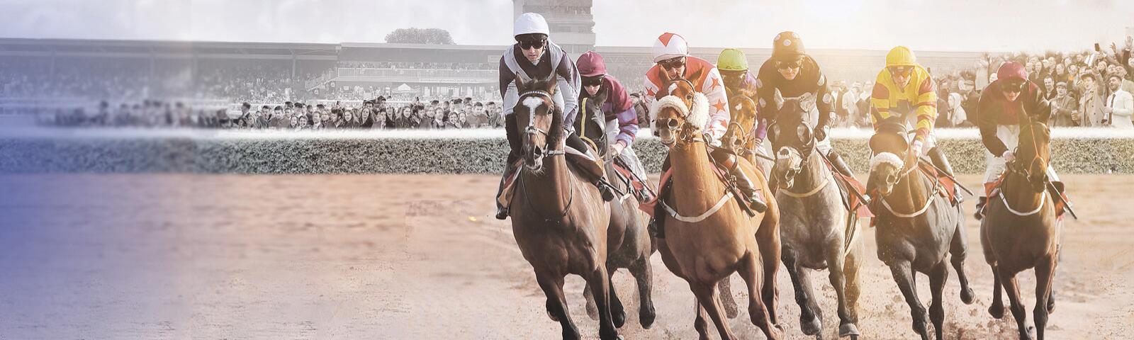 Southwell Racecourse | Southwell Races