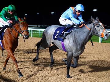 Southwell Racecourse