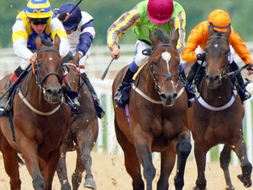 2025 Racing Fixtures Announced! | Southwell Racecourse