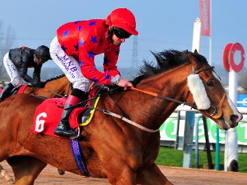 Hospitality | Southwell Racecourse