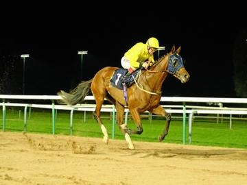 Southwell Racecourse