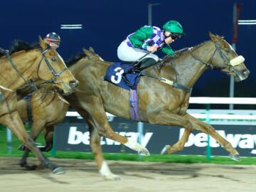 Southwell Racecourse | Southwell Races