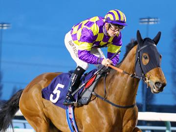 Southwell Racecourse | Southwell Races