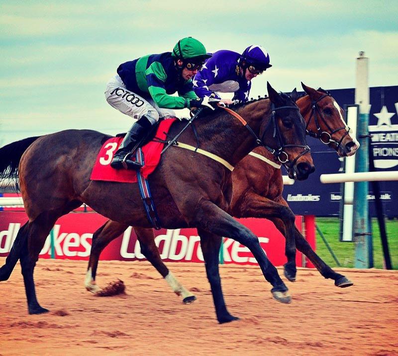 All Weather Championships | Southwell Racecourse