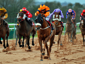 Racecard & Race Replays | Southwell Racecourse
