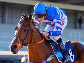 Southwell Racecourse | Southwell Races