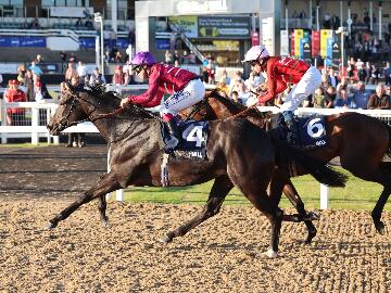 Southwell Racecourse | Southwell Races